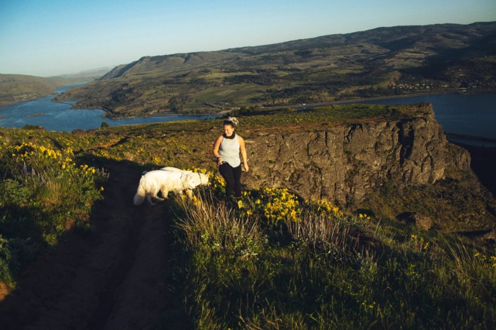 The Best Wildflower Hikes near Carson, Washington for Spring | Carson ...